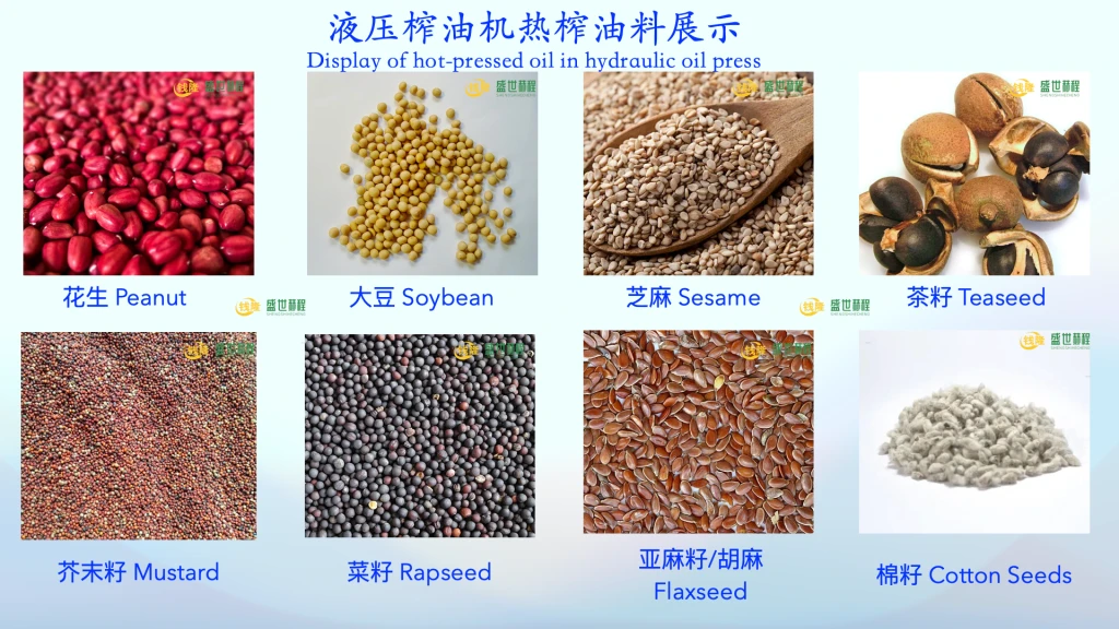 Hydraulic Oil Press Machine Manufacturer in China | Cold & Hot Press ...